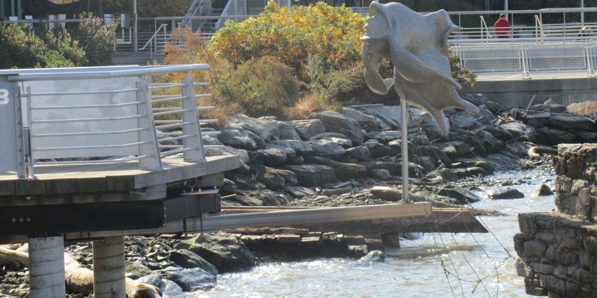 Landscape | Steven Secon Architect PC